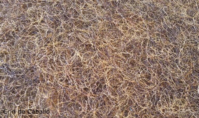 Tipos de fibras naturales en los colchones - Colchones.es